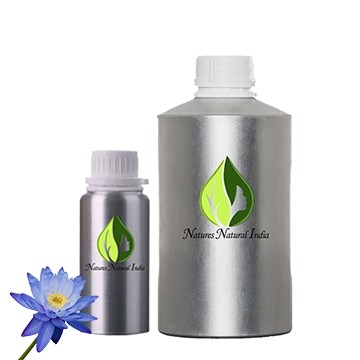 Blue Lotus Absolute Oil - Naturesnaturalindia.com