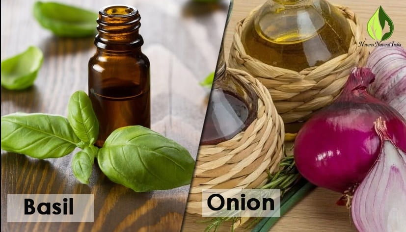 Natures Natural India Blogs - 11 Precious Essential Oils Derived From ...